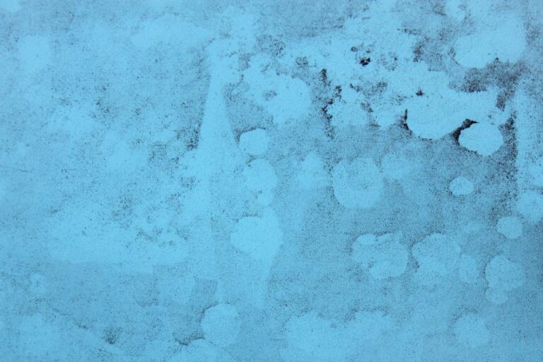 How to Get Rid of Algae in Your Pool Fast - Pool Research