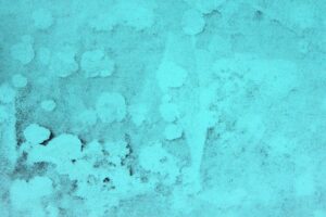 How to Kill Black Algae in Your Pool - Pool Research