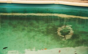 How to Get Rid of Algae in Your Pool Fast - Pool Research