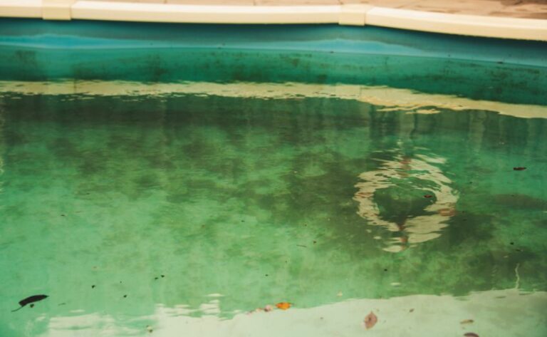 How to Get Rid of Algae in Your Pool Fast - Pool Research