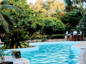 Lagoon Pools: Design Ideas, Pros/Cons & More - Pool Research