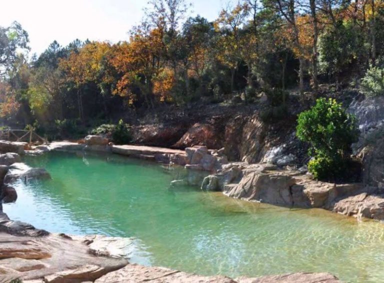 Creative Natural Swimming Pool Design Ideas - Pool Research