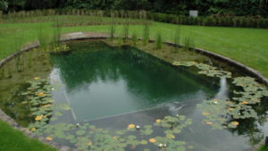 Creative Natural Swimming Pool Design Ideas - Pool Research