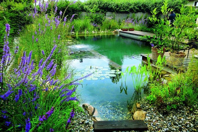 Creative Natural Swimming Pool Design Ideas - Pool Research